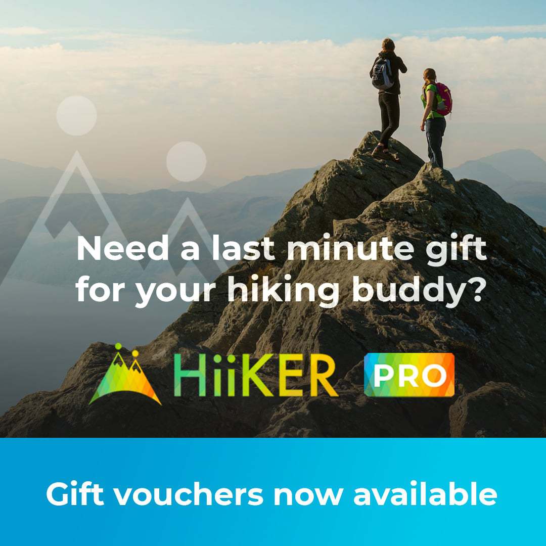 Insta_Timeline-voucher – HiiKER